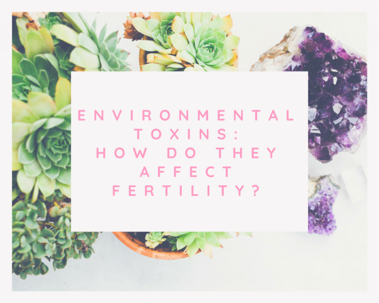 Environmental Toxins: How do they affect fertility? - Kayla Begley