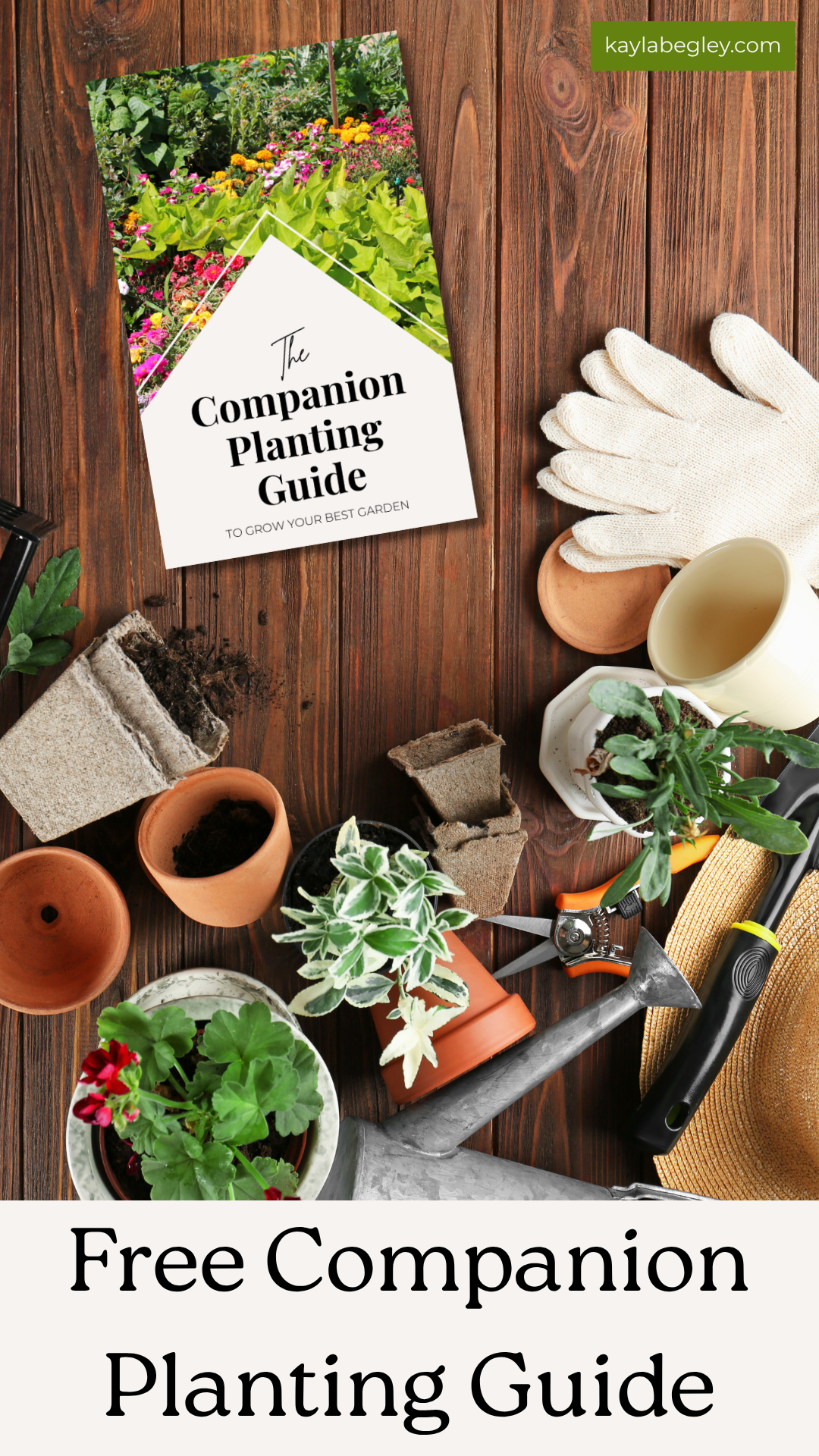 Companion Planting Made Simple: A Beginner’s Guide to Better Gardening ...