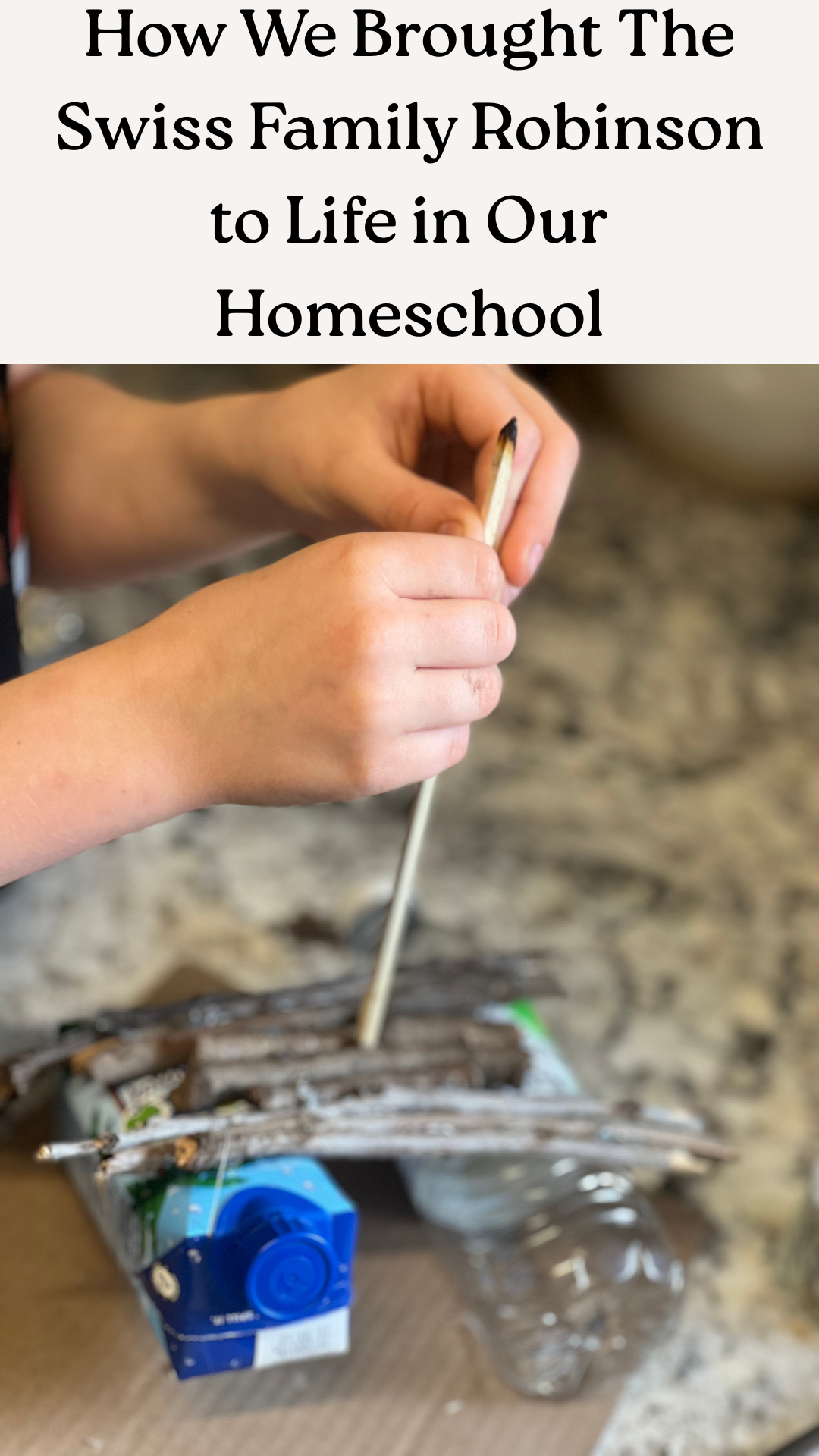 How We Used Our Swiss Family Robinson Novel Study in Our Homeschool