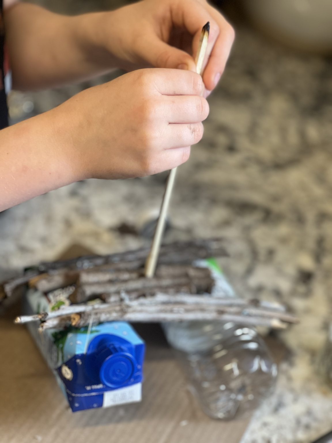 How We Used Our Swiss Family Robinson Novel Study in Our Homeschool